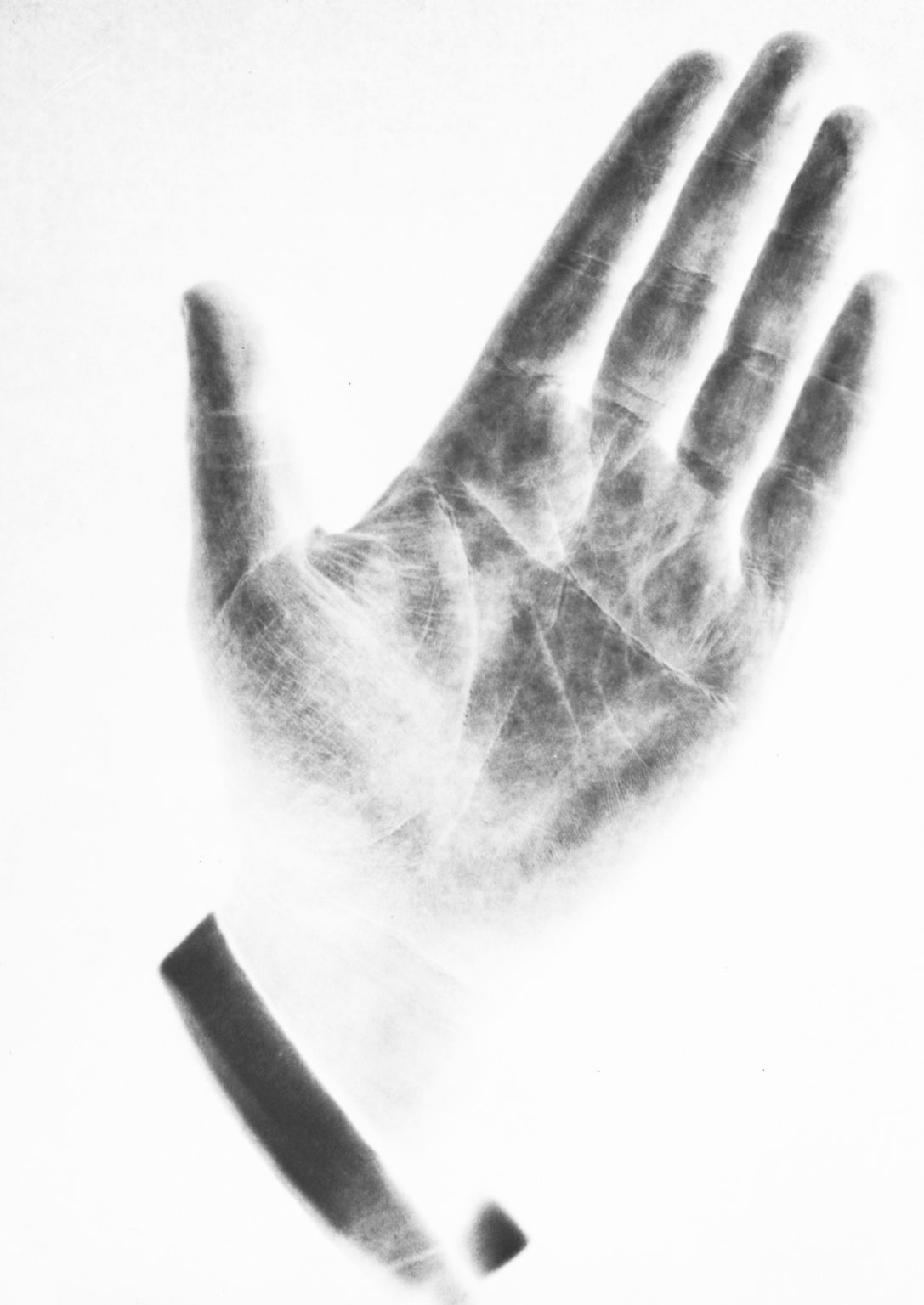 PRESSEFOTOS LESEZEICHEN – Jüdisches Museum Franken